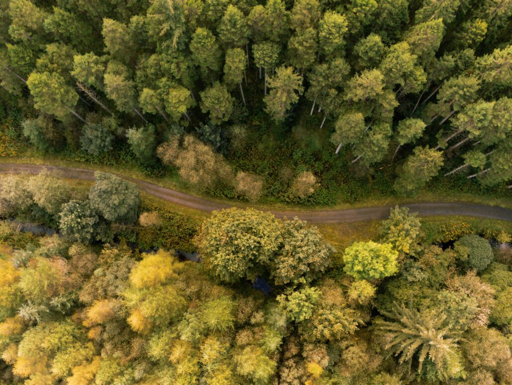 20 Fun Things to do with Sticks! - Love Outdoor Learning